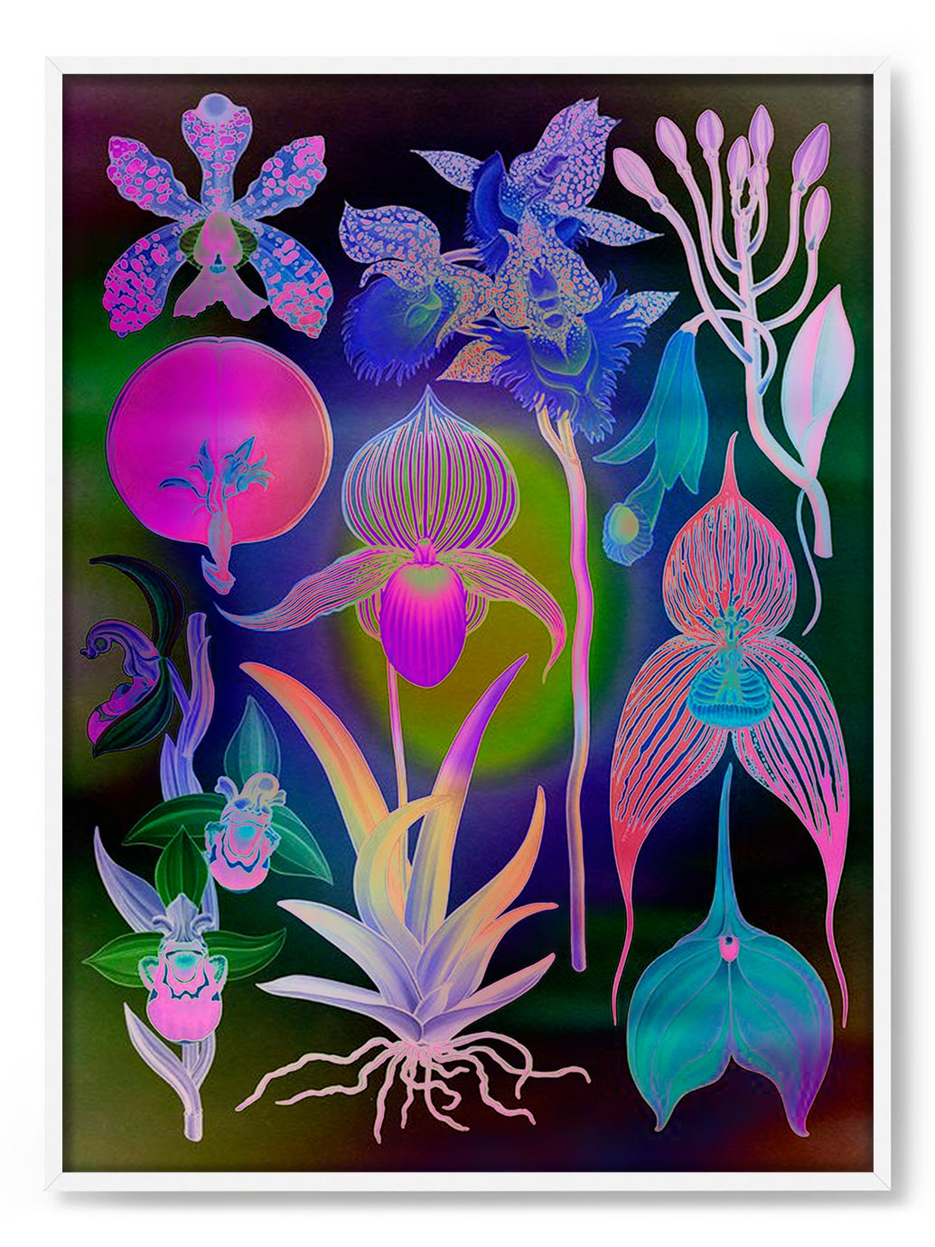 Flower Maps – ART MOTHER